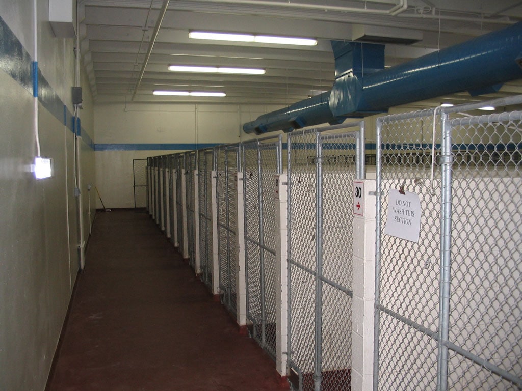 Trench Drains for Kennels, Animal Hospitals, Or Vet Clinics I USA I ...